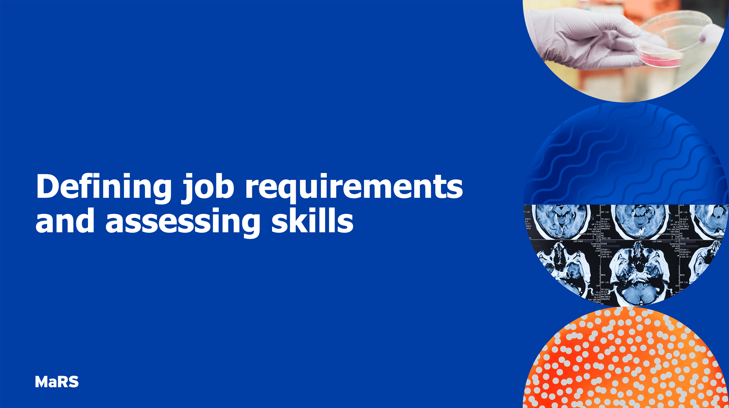 Defining job requirements and assessing skills | Startups | Hiring | MaRS